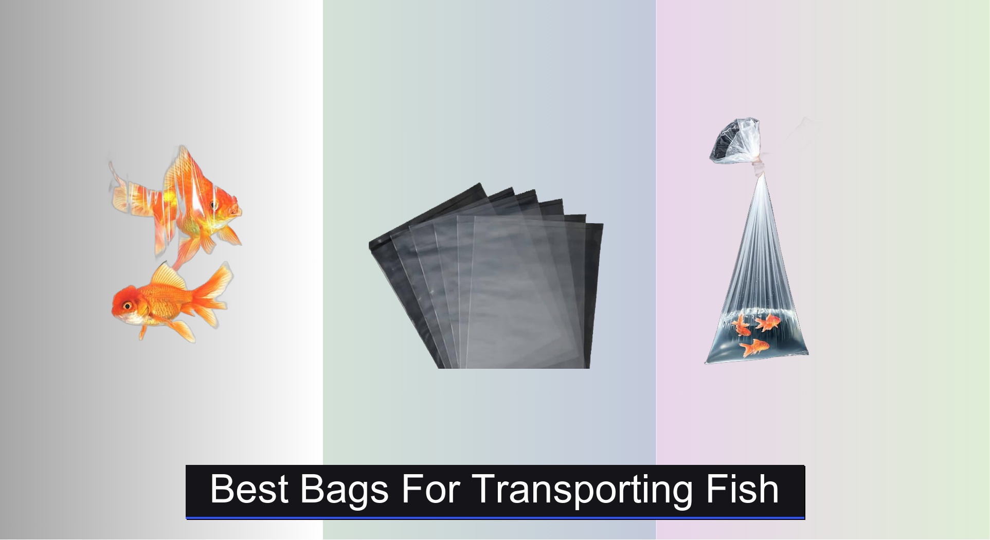 7 Best Bags for Transporting Fish in 2026