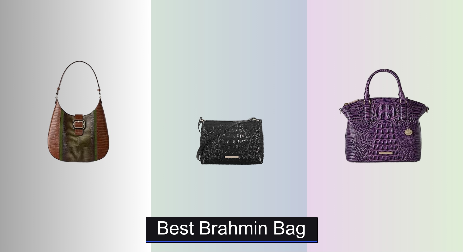 3 Best Goyard Bag Colors of 2026